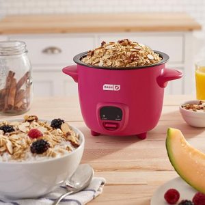 DASH 2-Cup Mini Rice Cooker with 14 Recipes – Cookware Store
